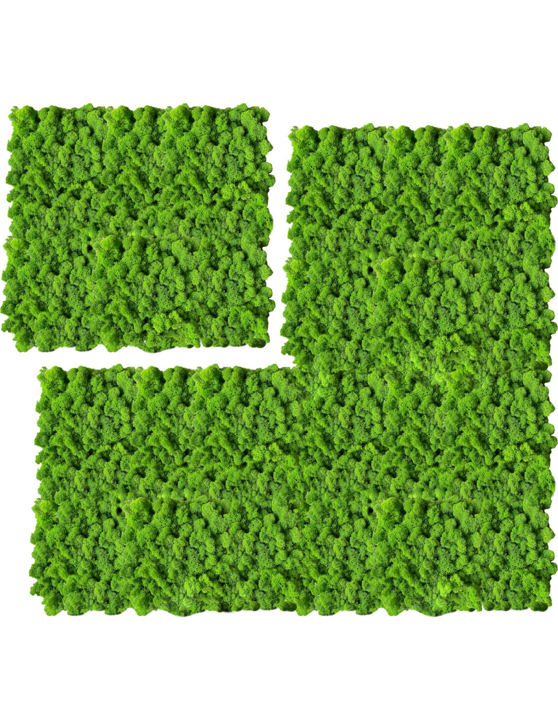 Wall Panel - Weed Moss. Create a Green Wall with Moss.